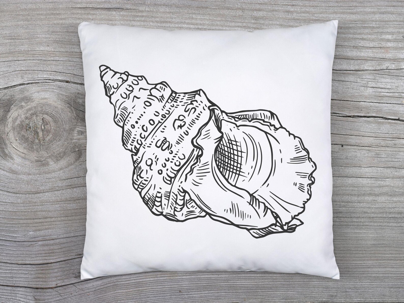 Seashell SVG, Seashell Cricut, Seashell Cut Files, Seashell Silhouette ...