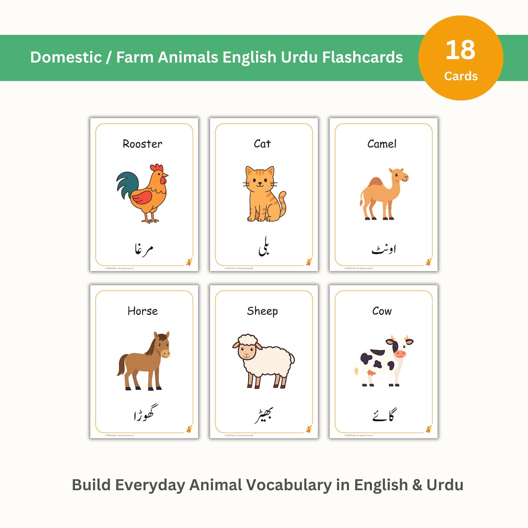Farm Animals Flashcards Urdu English Bilingual | Printable Animal Cards ...