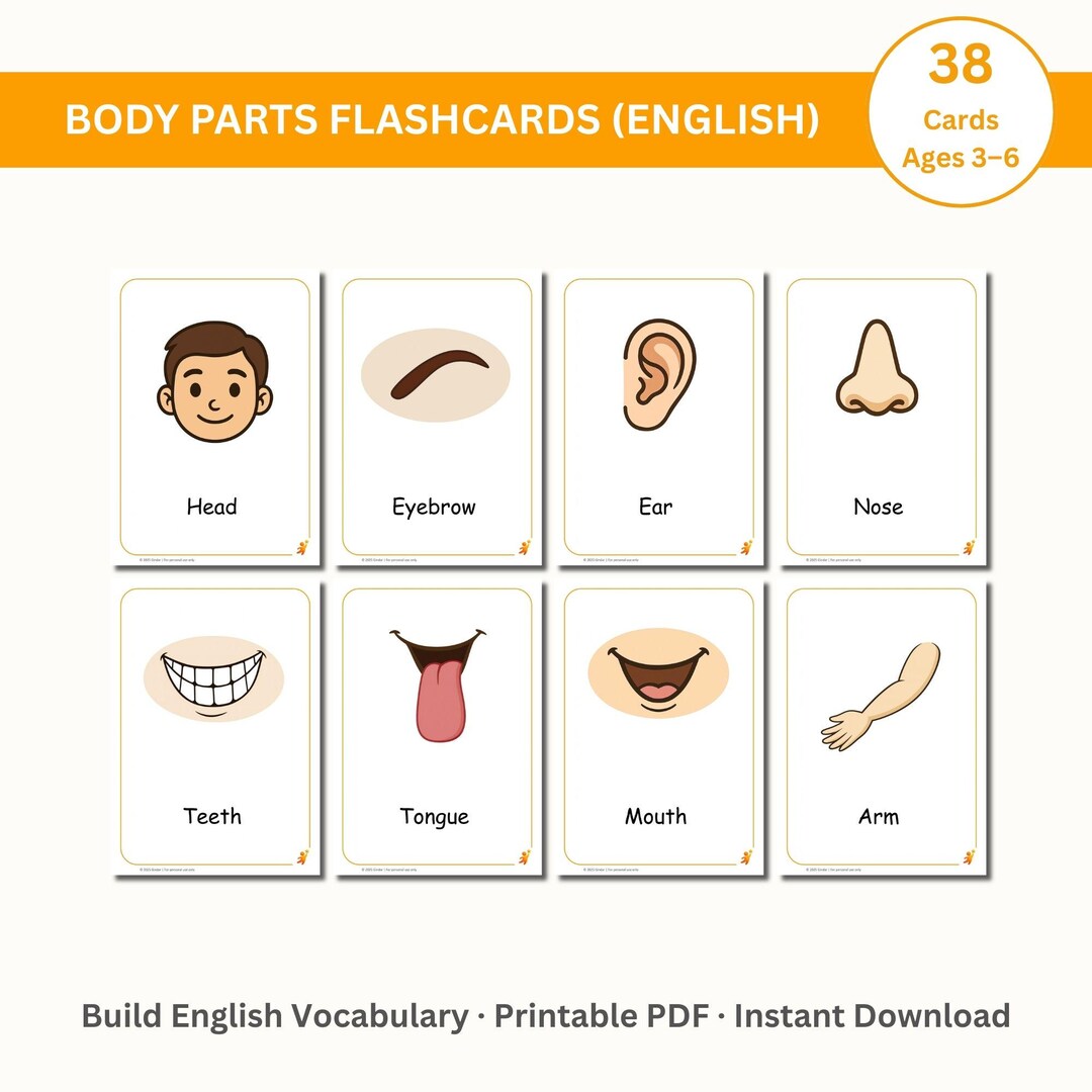 English Body Parts Flashcards Printable | 38 Body Parts Cards for Kids ...