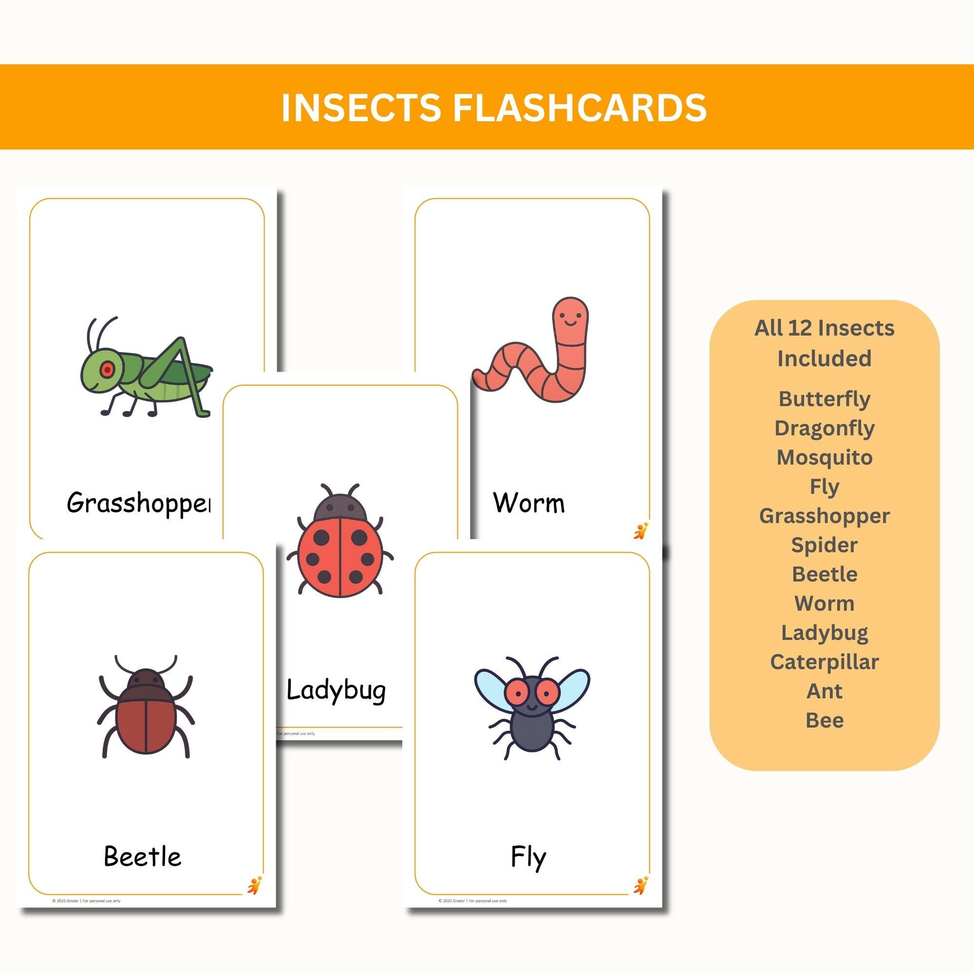 Insects Flashcards Printable | Bugs and Small Animals Cards for Kids ...