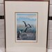 Signed Vintage First Nations "moonlight Prelude "art Framed Print ...