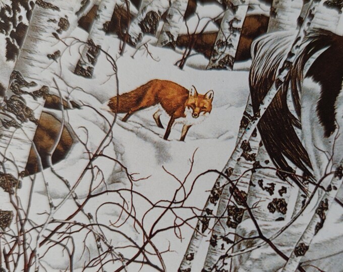 Bev Doolittle Matted Red Fox Print 11 X 14 Inches , New and Ready to ...