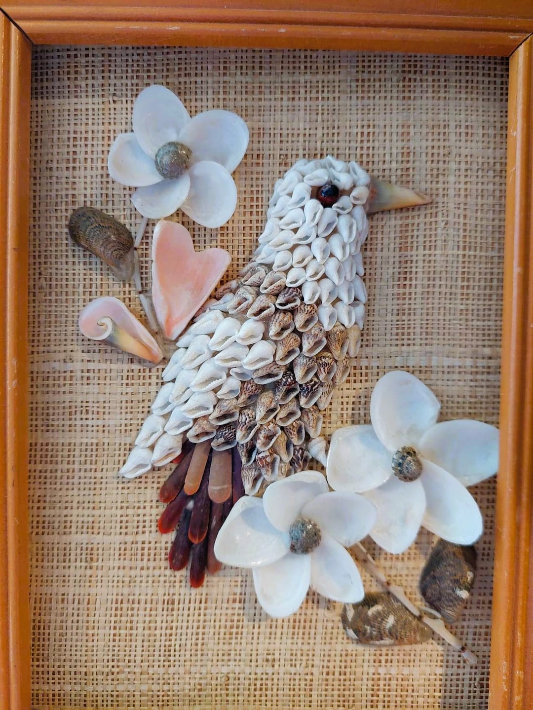 Vintage Tropical Shell Bird Framed Picture - Etsy