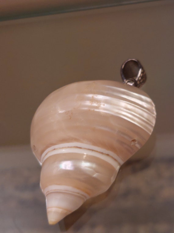 Turbo Shell Large Pendant - Etsy