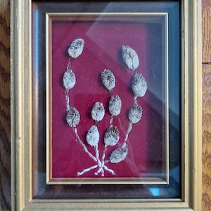 TWO First Nations Original Vintage Shadow Box "handcrafted Moose Hair ...