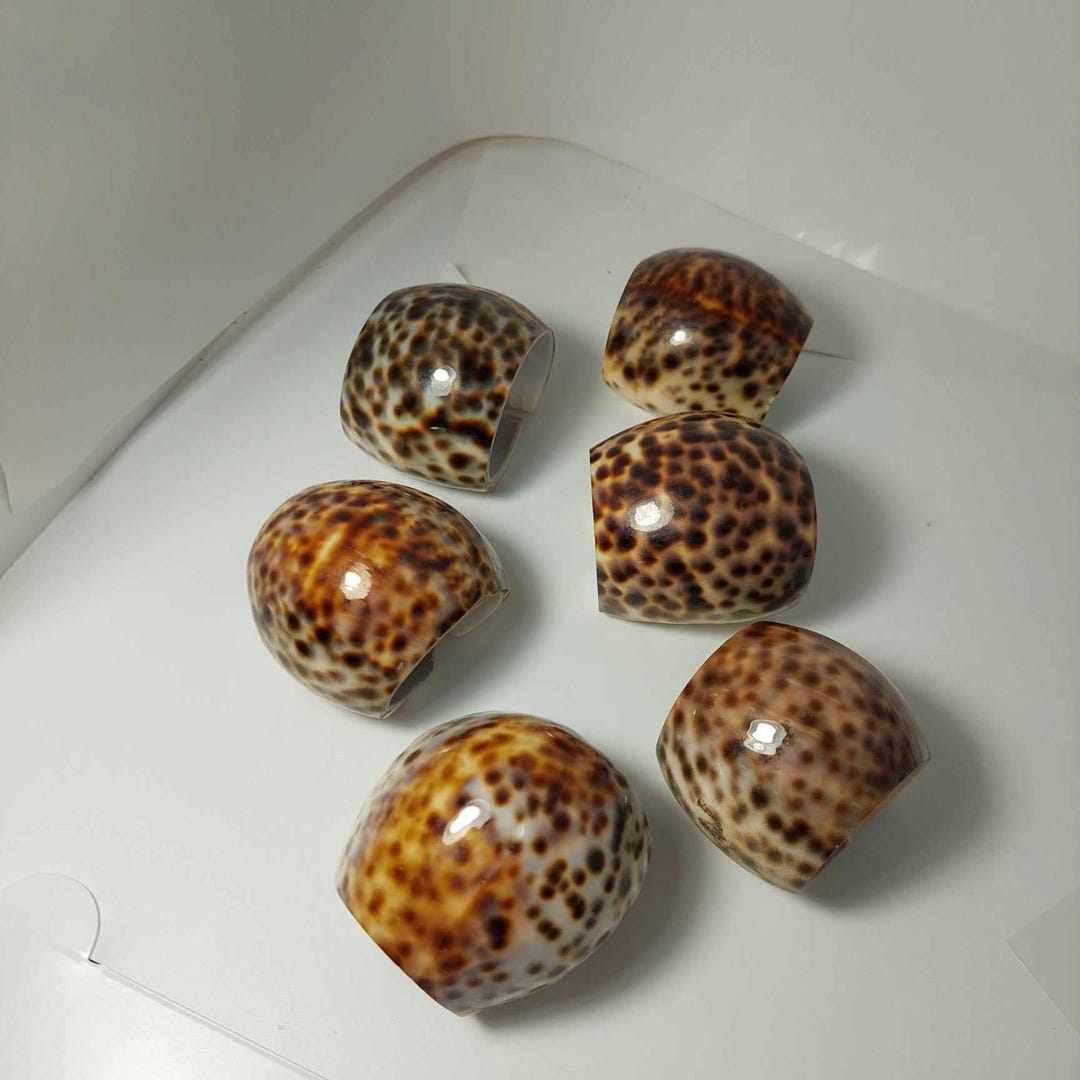 Vintage Carved Cowrie Shell Napkin Rings- Set of 6 - Etsy