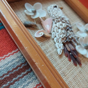 Vintage Tropical Shell Bird Framed Picture - Etsy
