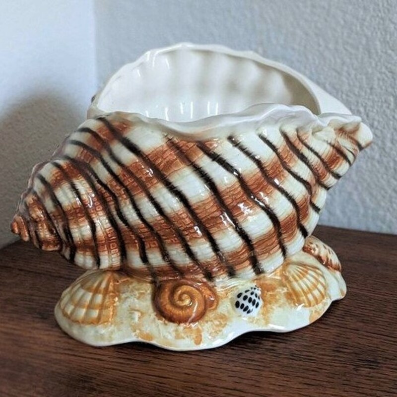 Shell Planters - Etsy