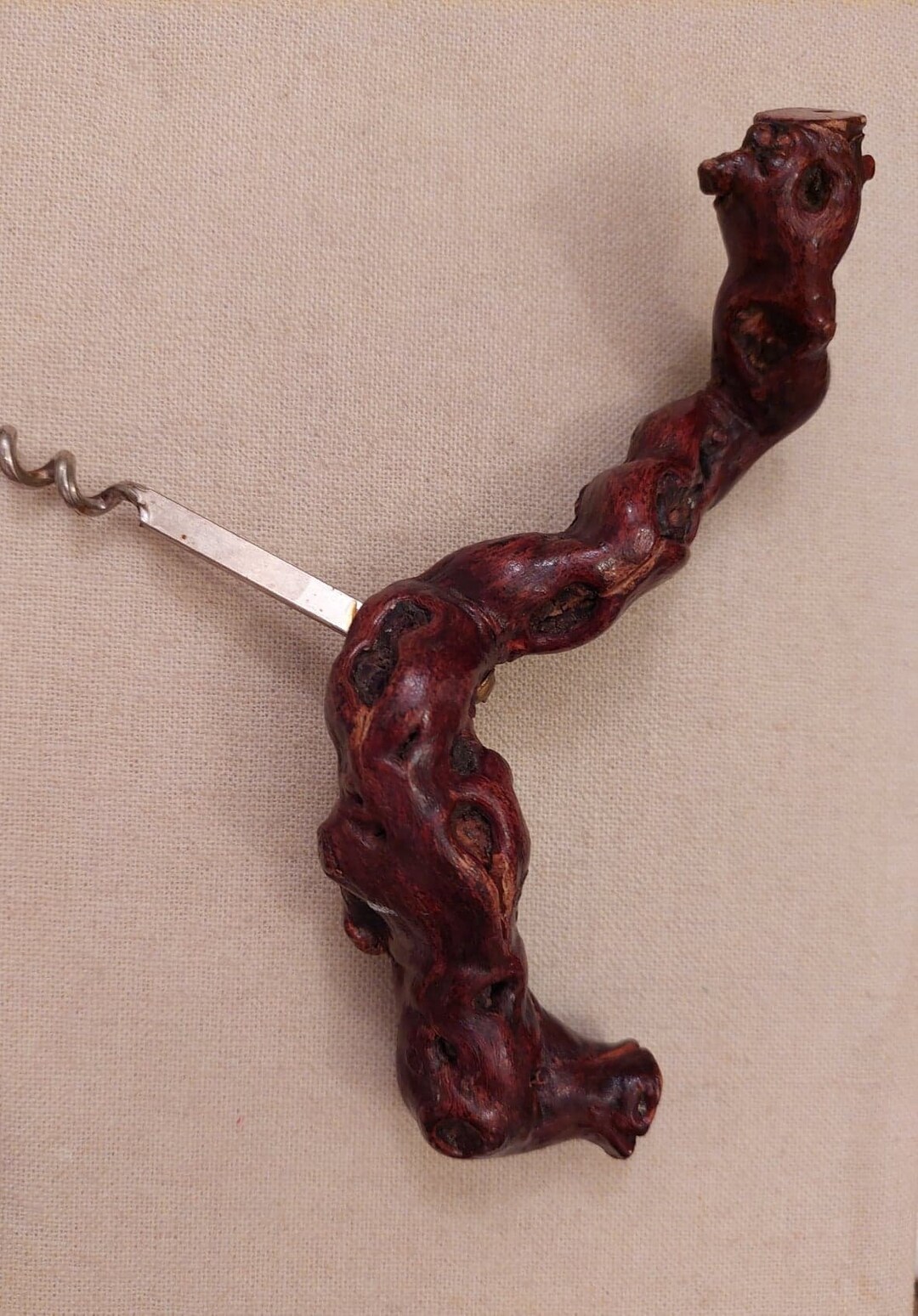 Vintage Twisted Grapevine Root Cork Screw - Etsy