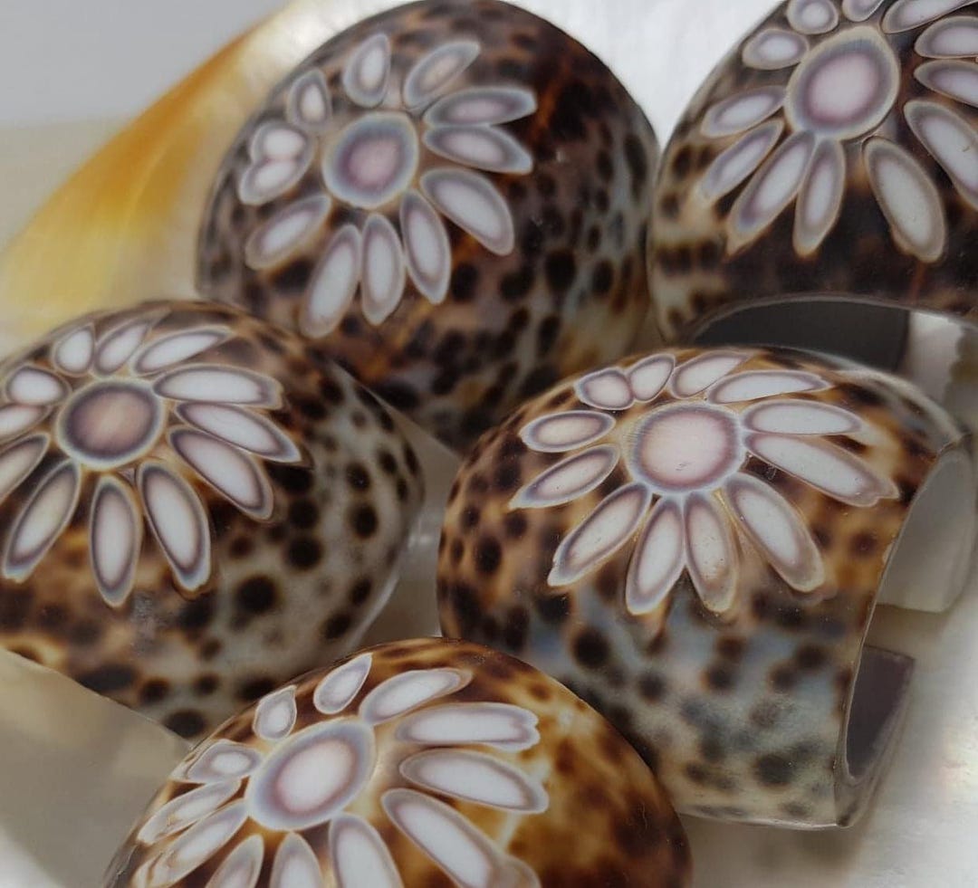 Vintage Carved Cowrie Shell With Flowers Napkin Rings- Set of 6 - Etsy