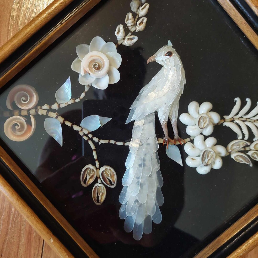 TWO Vintage Tropical Shell White Peacock Bird Framed Shadow Box ...