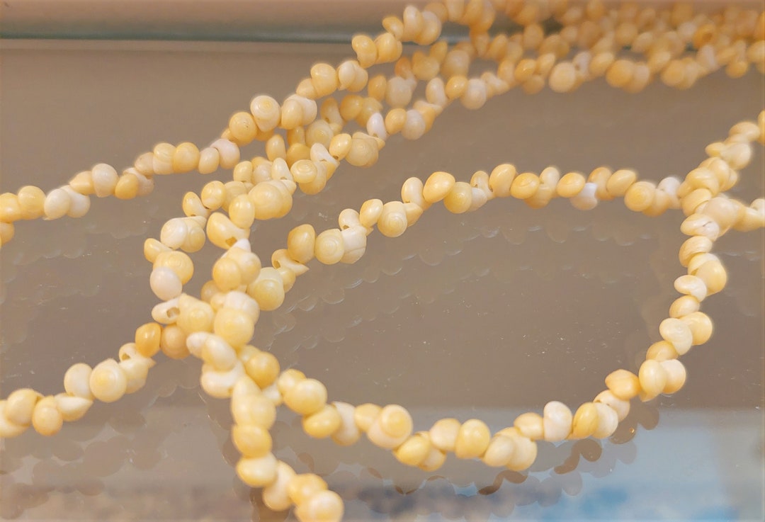 Vintage Triple Length Small Shell Necklace Long Shell - Etsy