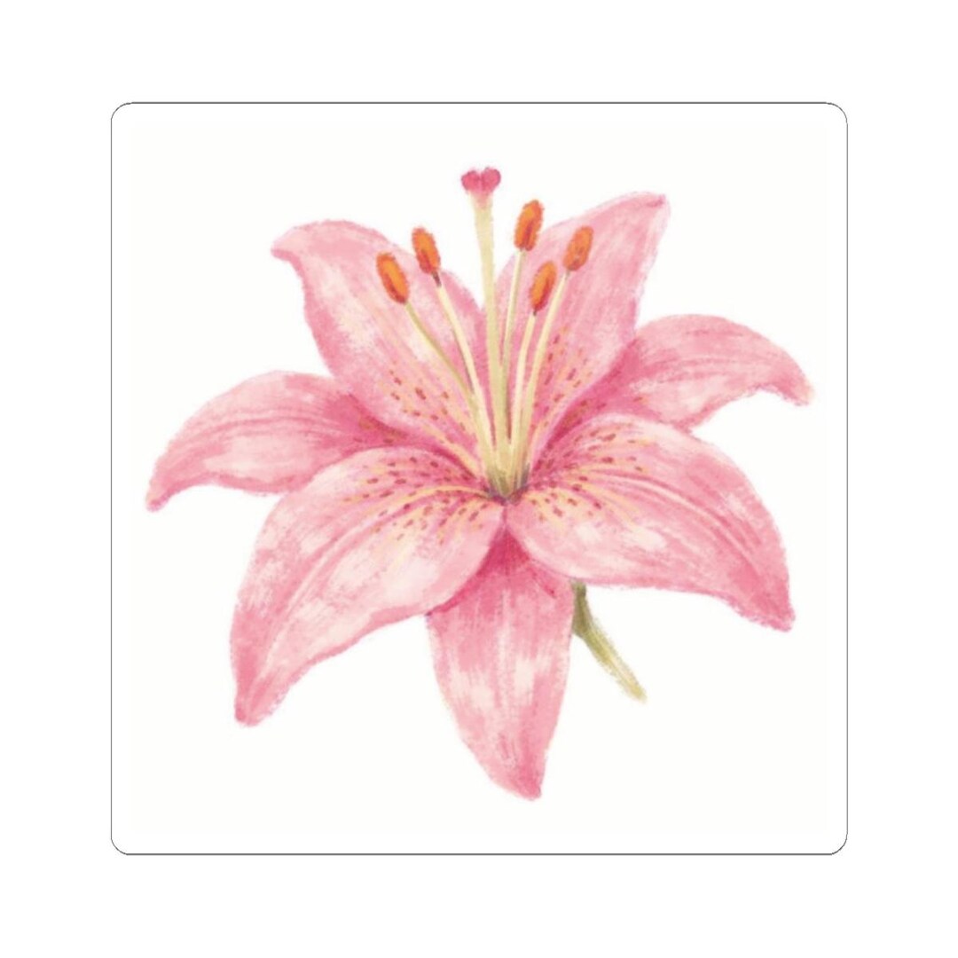 Flower Illustration Sticker - Etsy