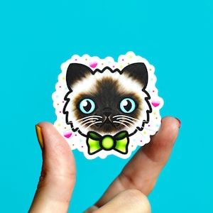 Digby Himalayan Cat / Vinyl Sticker - Etsy
