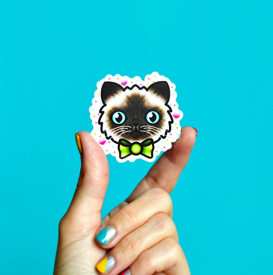 Digby Himalayan Cat / Vinyl Sticker - Etsy