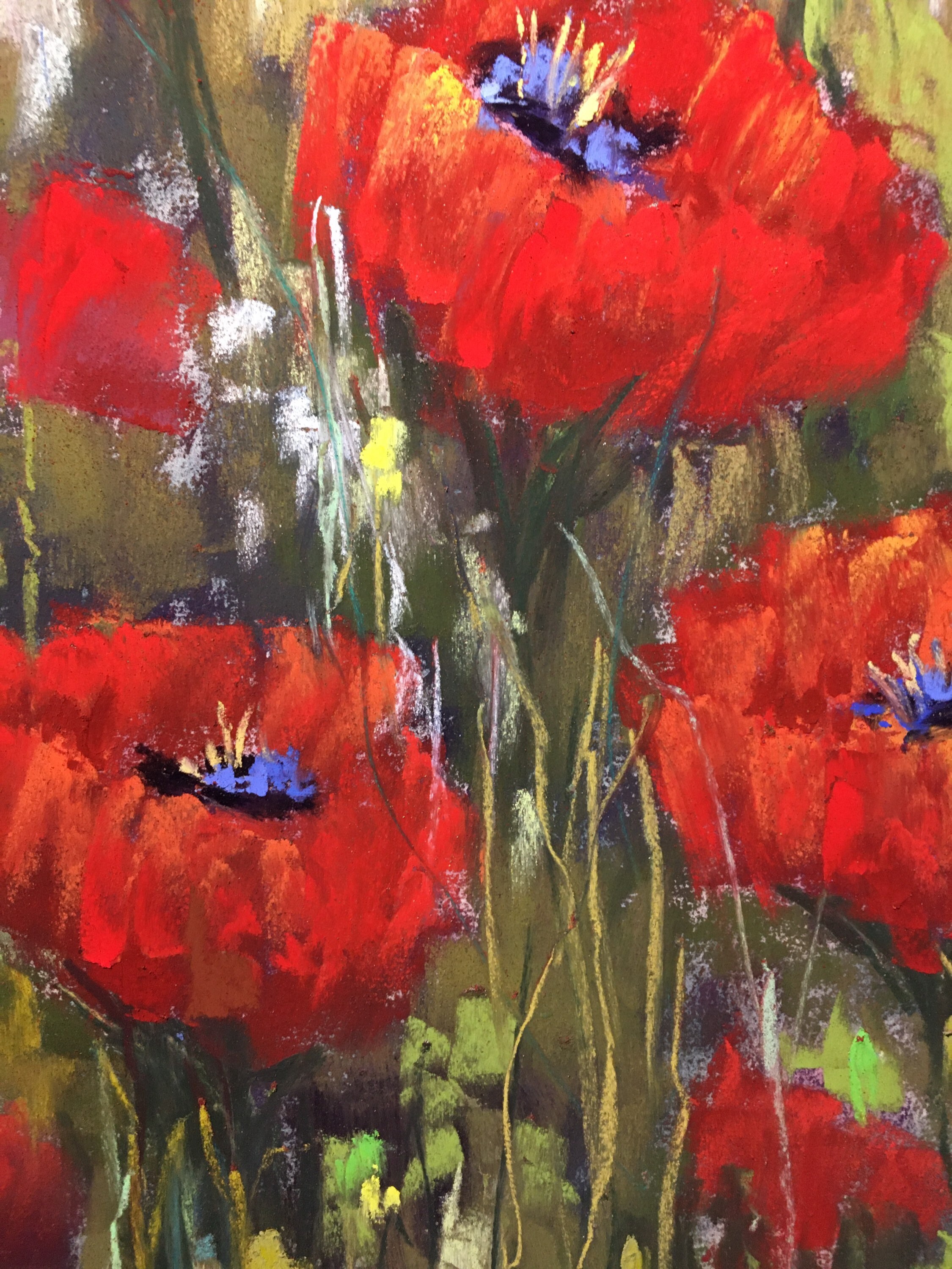 Pastel Drawing & Illustration Red Poppy Meadow Original Soft Pastel ...