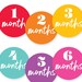 Baby Month Printable Stickers, Baby Milestone Stickers Printable, Baby ...
