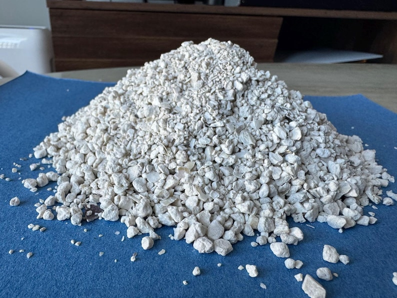 Crushed Oyster Shells: Natural Calcium Supplement for Poultry ...