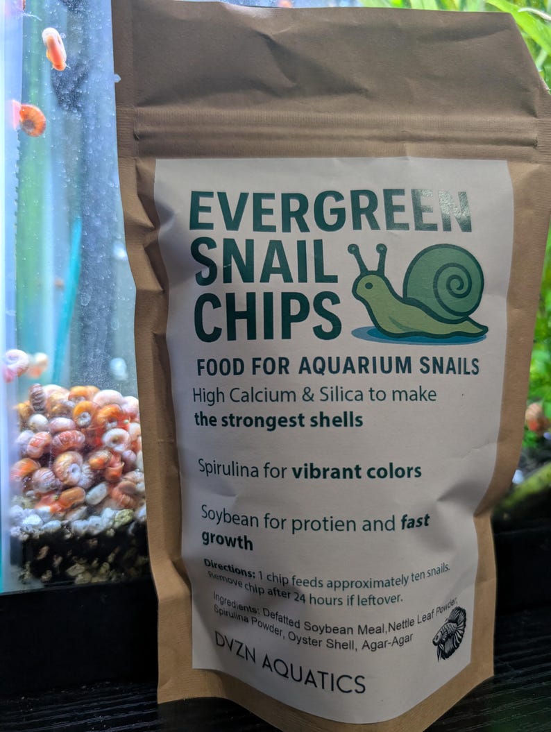 Aquatic Snail Food - Evergreen - Strong Shells - Fast Growth - Etsy