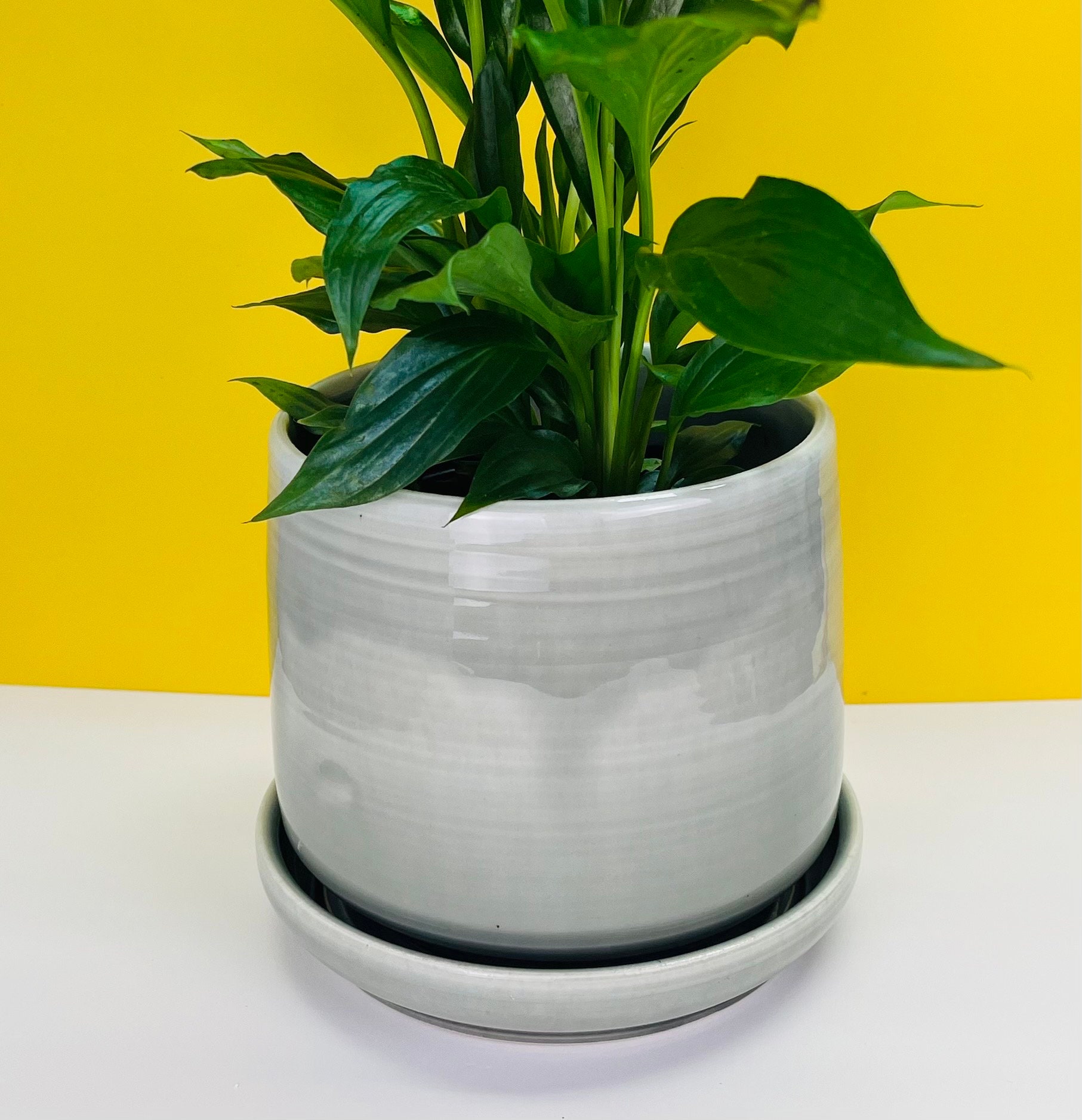 Small Gray Succulent Planter With Drainage Tray - Etsy