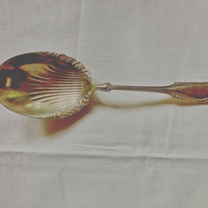 Yourex - Etsy