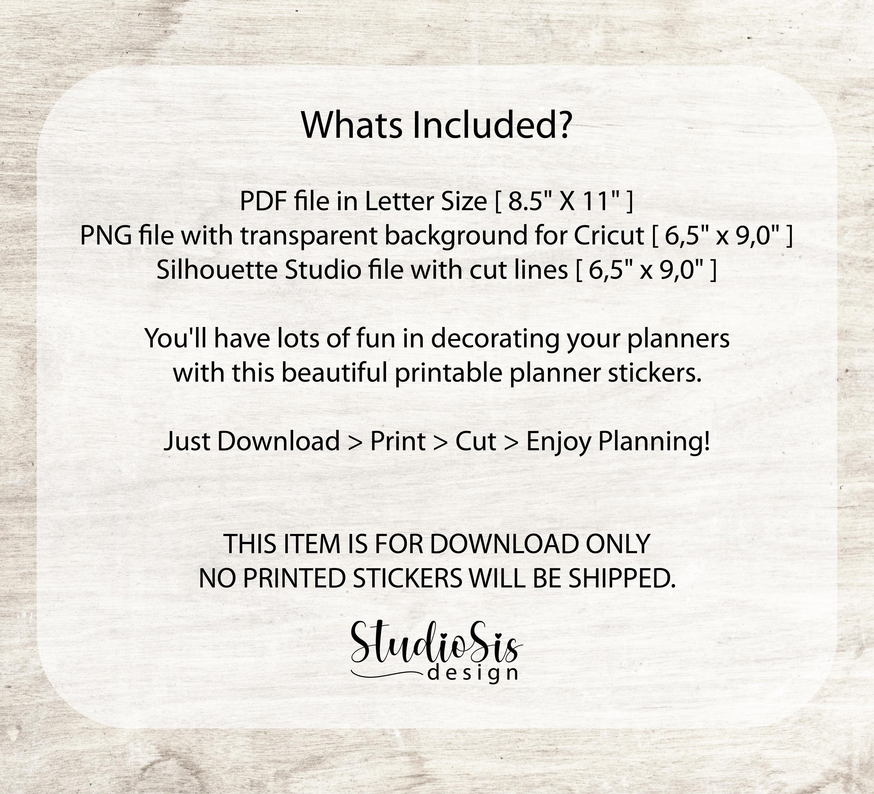 Financial Script Everyday Life, Printable Planner Stickers, Bullet ...