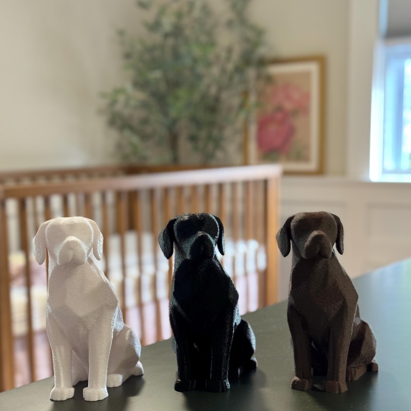 Black Lab Birthday Cake - Etsy