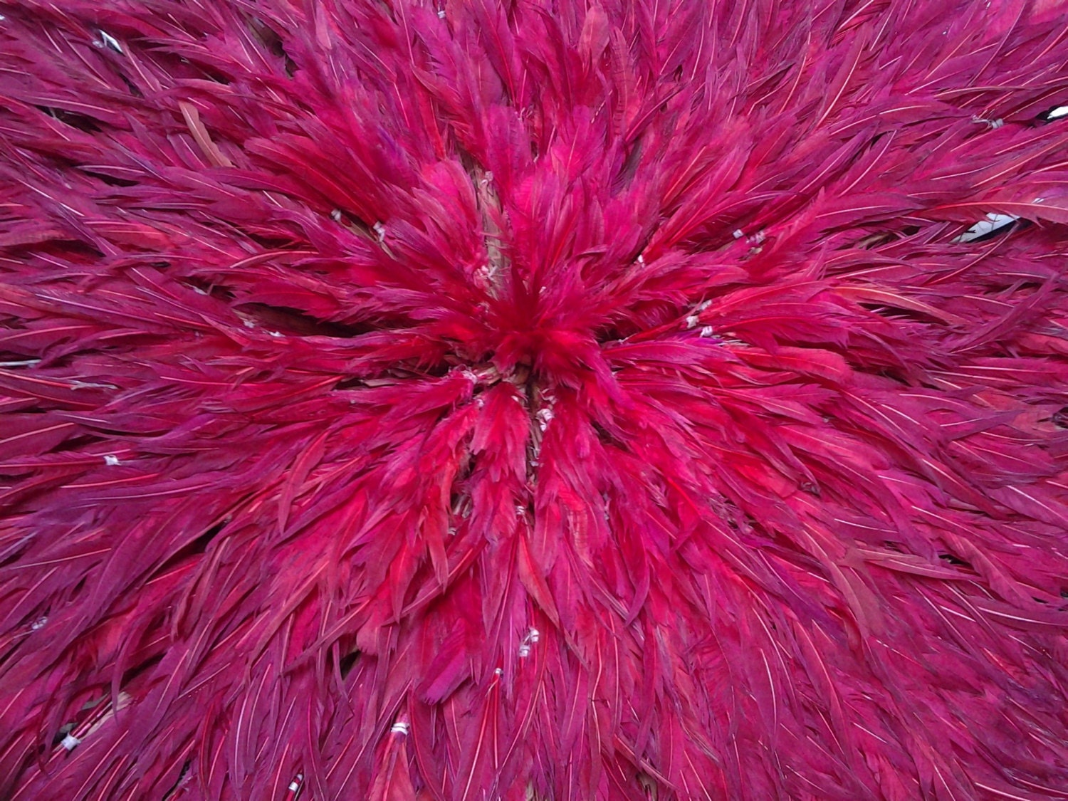 Juju tyn Hat...spiny Magenta - Etsy