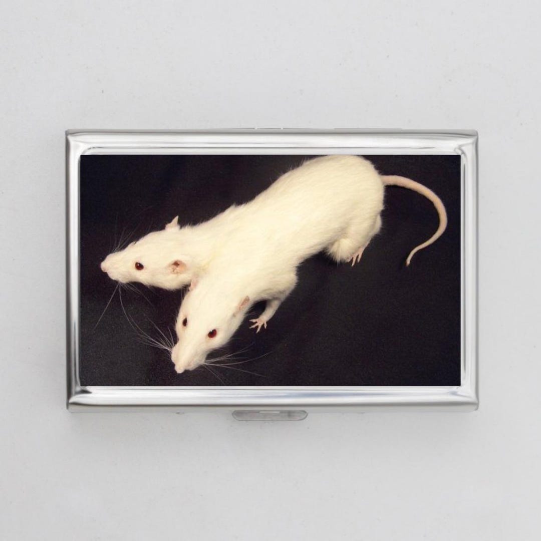 2 Headed Rat Cigarette Case OR Card Holder - Rats Zigarettenetui Art ...