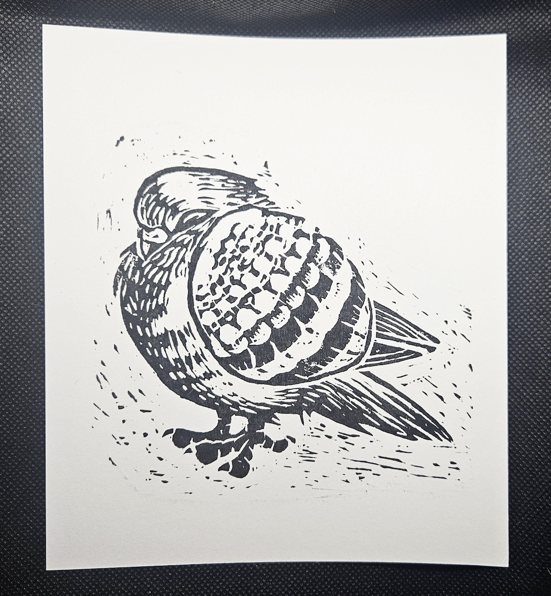 Sleeping Pigeon Bird Woodcut Block Print Printmaking - Etsy