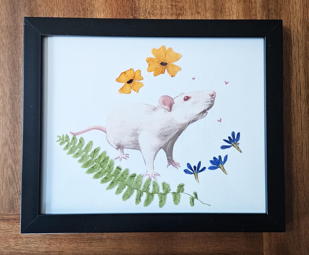 Realistic Red Eyed White Rat Painting Real Pressed Dried Flowers ...