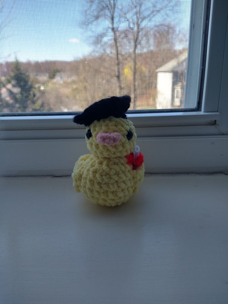 Graduation Amigurumi Duck, Graduation Gift, Crochet Duck - Etsy
