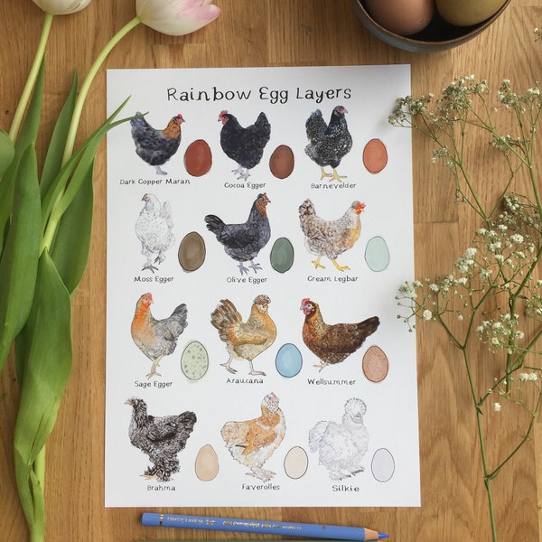 Hen Art - Etsy