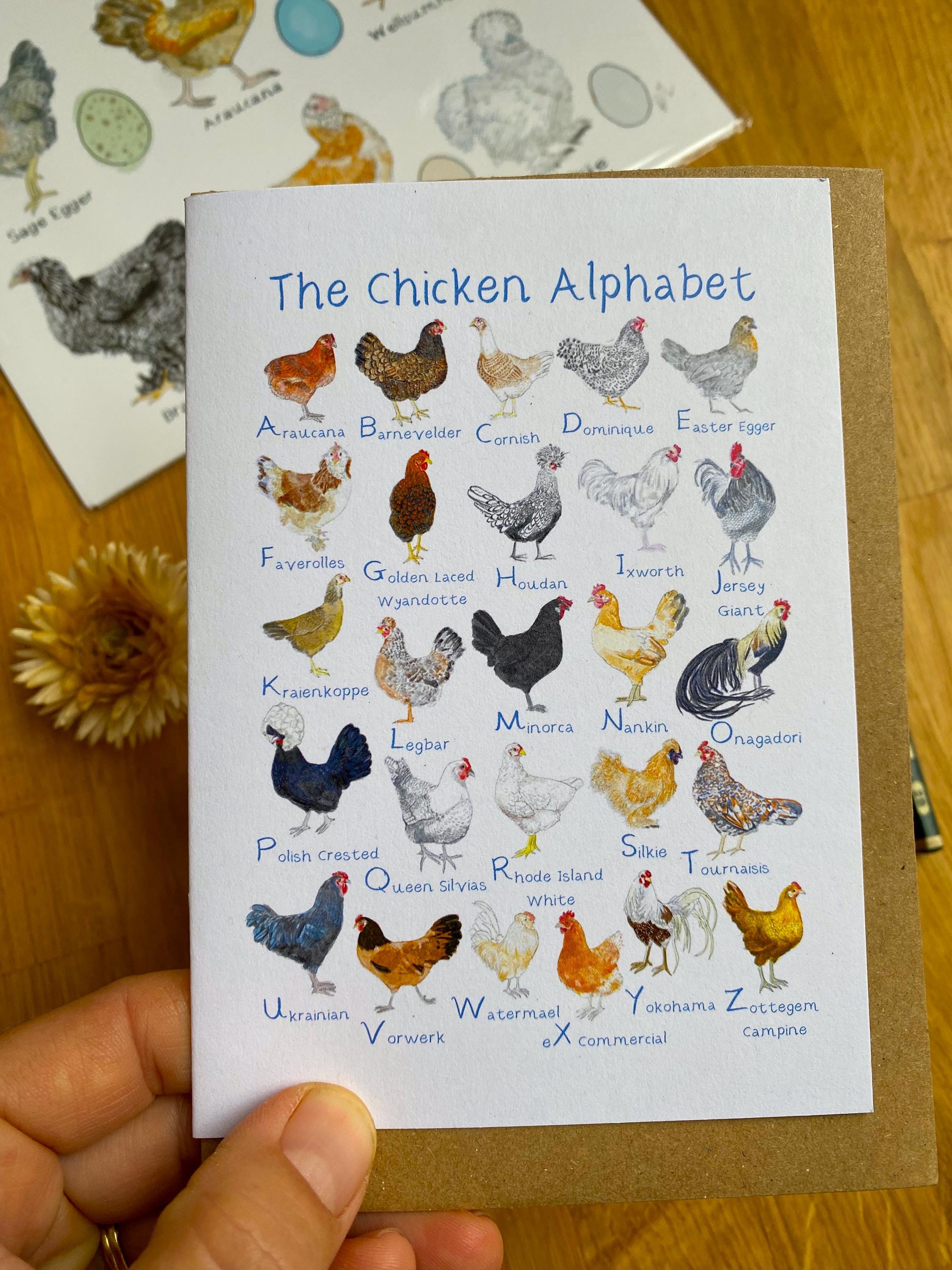 The Chicken Alphabet Greetings Card, Chicken Themed Greetings Card, Hen ...