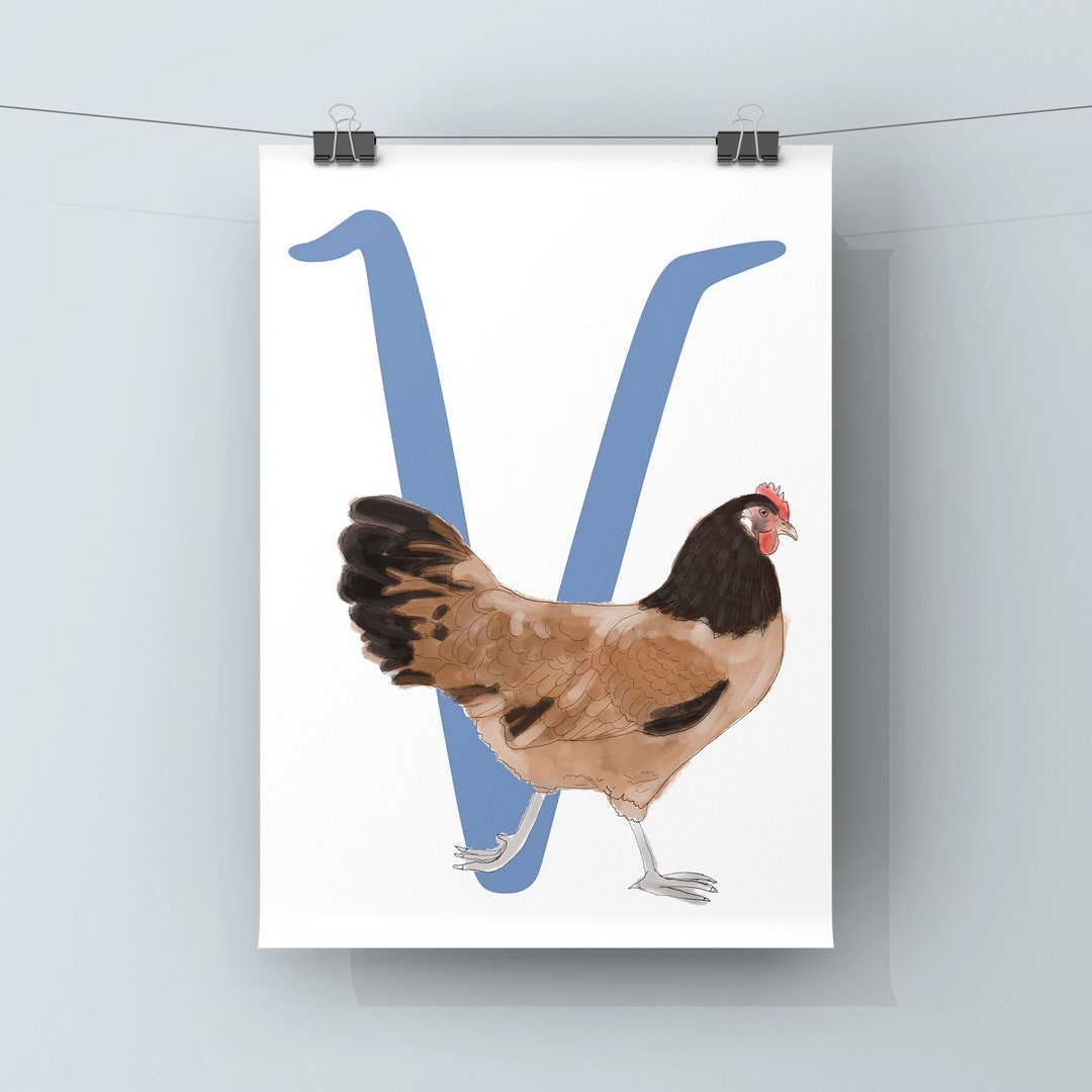 Chicken Alphabet Art Print, the Letter V for Vorwerk Chicken, Hen Art ...
