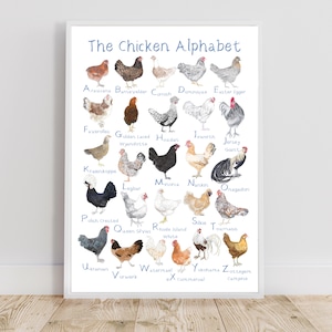 The Chicken Alphabet Art Print, Chicken Art Print, Chicken Theme Gift ...