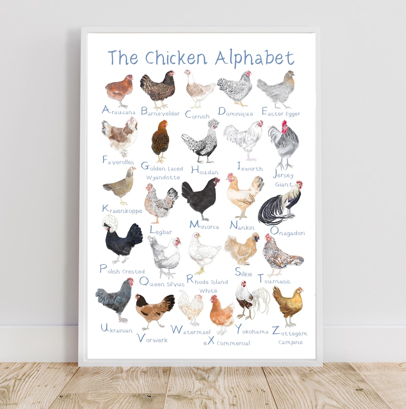 The Chicken Alphabet Art Print Chicken Art Print Chicken - Etsy