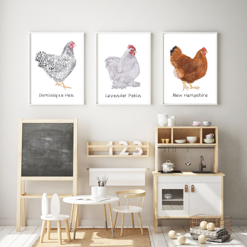 Chicken Breed Posters Educational Animal Poster Childrens | Etsy