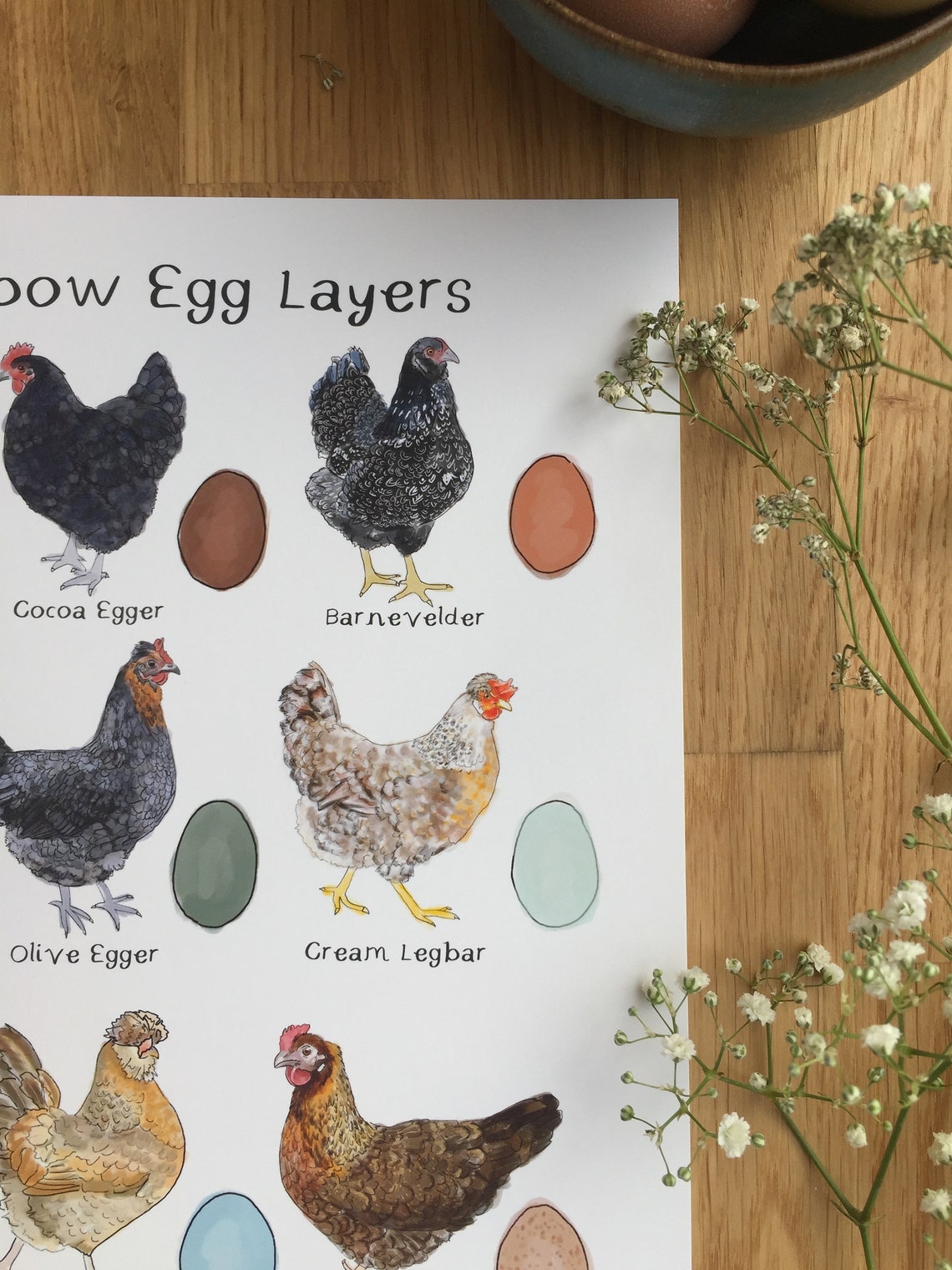 Rainbow Egg Layers Art Print Chicken Art Print Hen Art - Etsy