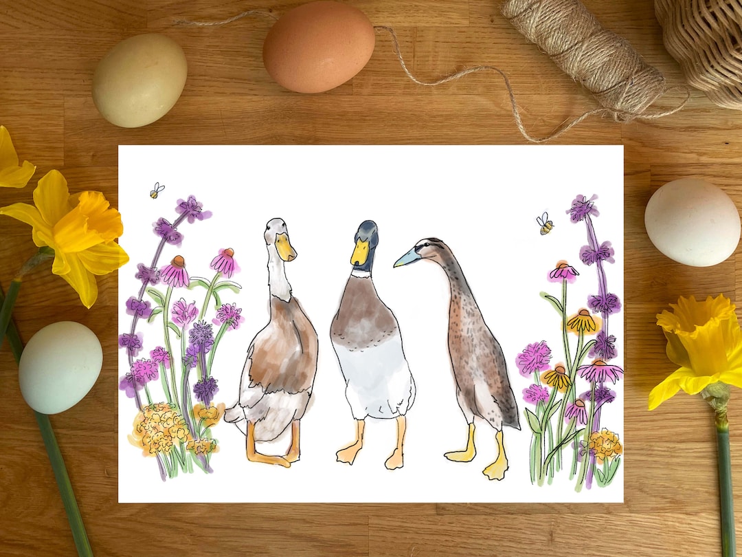 Runner Ducks Art Print, Runner Ducks Illustration, Runner Duck Art ...