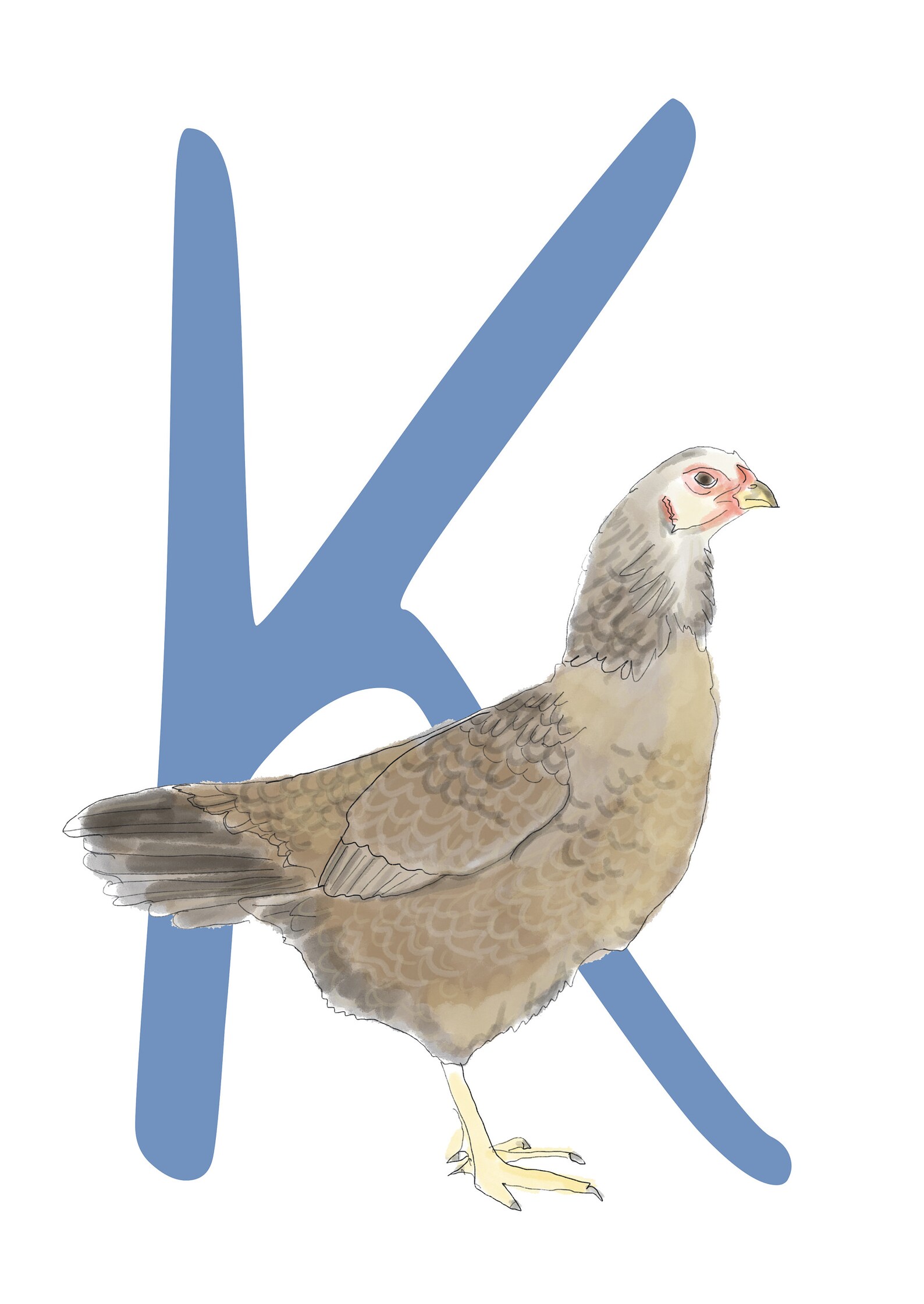 Childrens Alphabet Art Print, Chicken Art Print, Hen Art Print, Gift ...