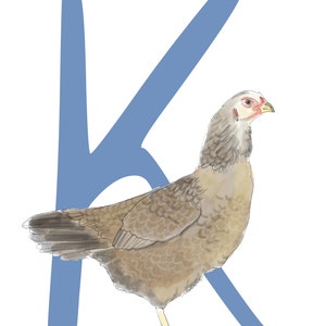 Childrens Alphabet Art Print, Chicken Art Print, Hen Art Print, Gift ...