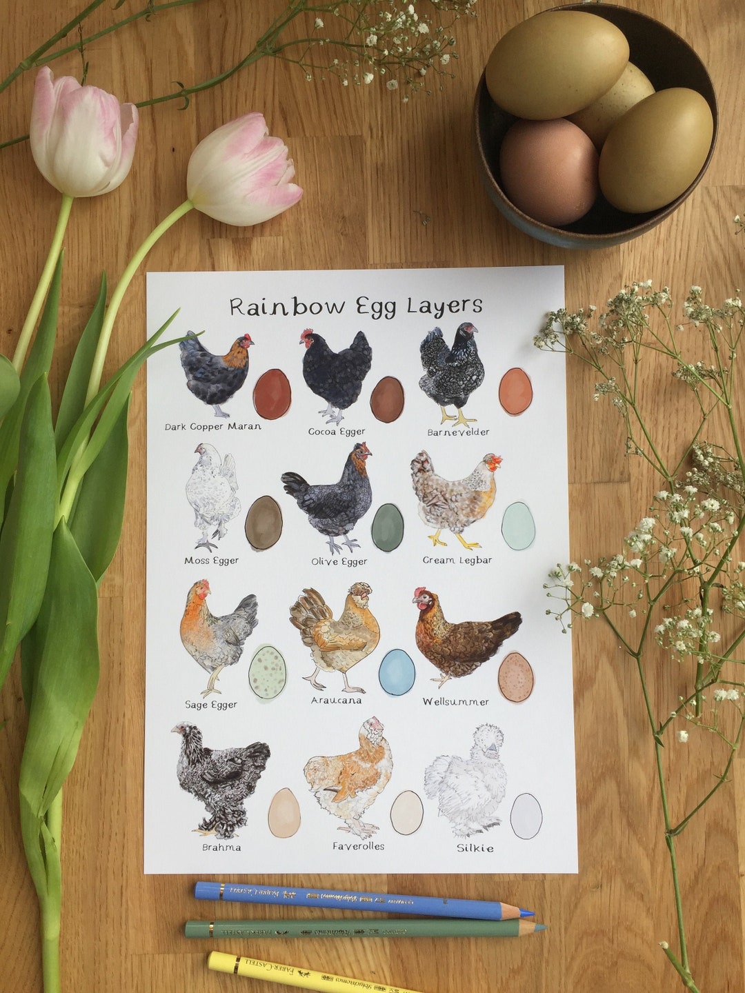 Rainbow Egg Layers Art Print, Chicken Art Print, Hen Art Print, Chicken ...