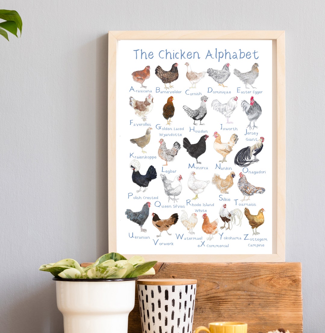 The Chicken Alphabet Art Print, Chicken Art Print, Chicken Theme Gift ...