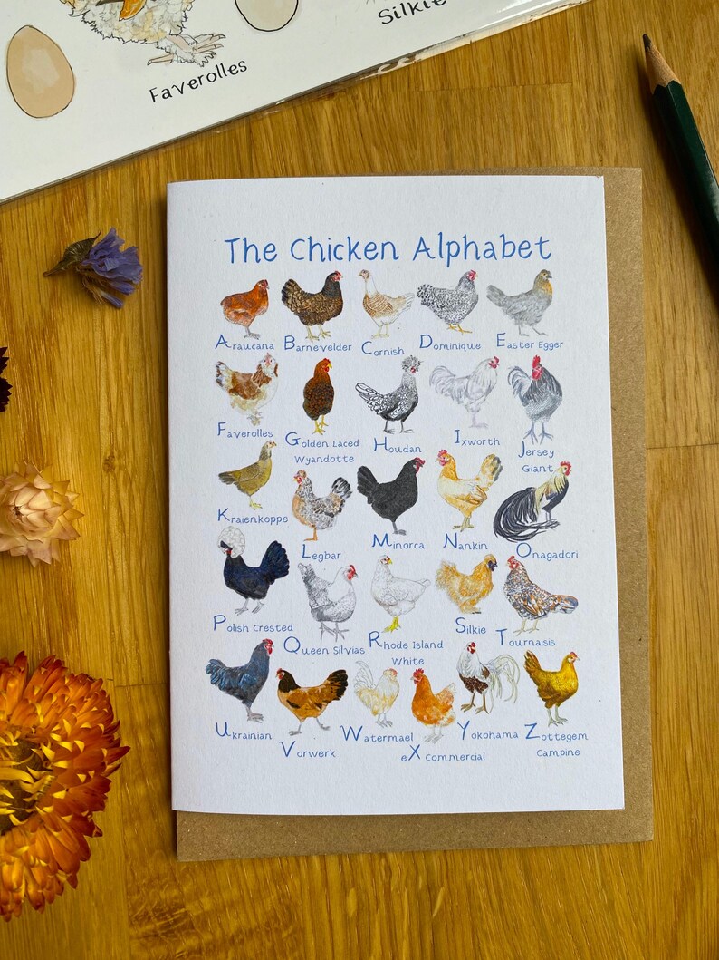 The Chicken Alphabet Greetings Card, Chicken Themed Greetings Card, Hen ...