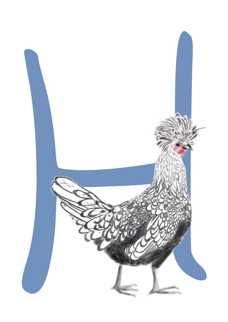 Alphabet Art Print Chicken Art Print Hen Art Print Farm - Etsy