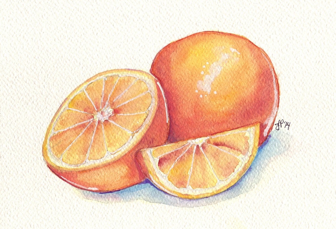 Oranges Still Life Art - Fruit Painting - Orange Fruit Slice Watercolor ...
