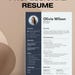 Resume Template With Photo, Professional Resume Template for Word ...