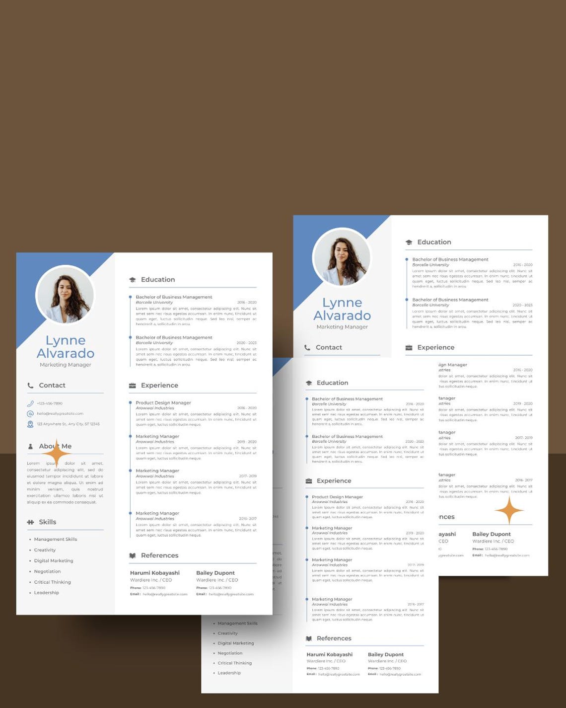 Resume Template With Photo, Professional Resume Template for Word ...