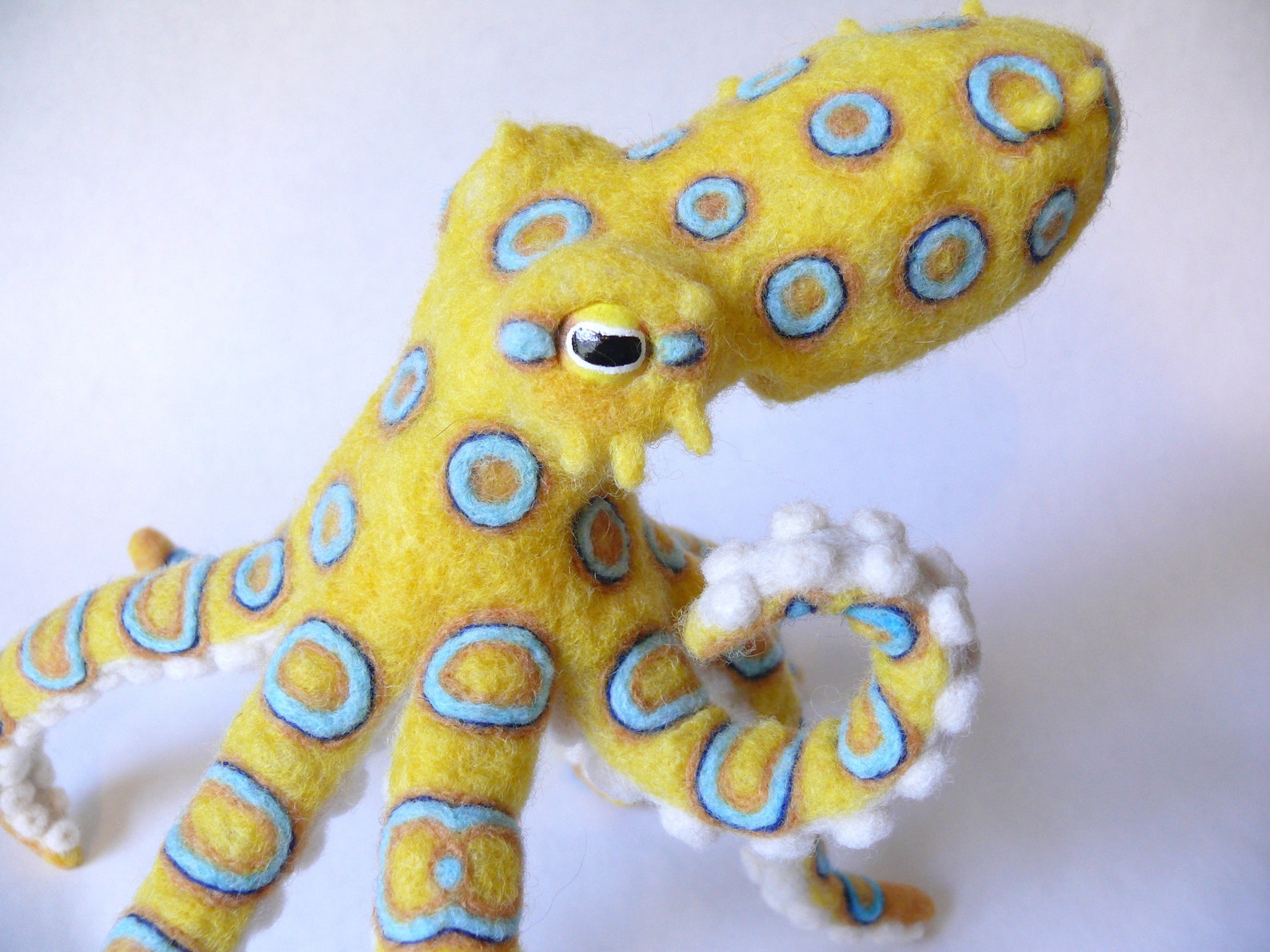 Blue-ringed Octopus - Etsy